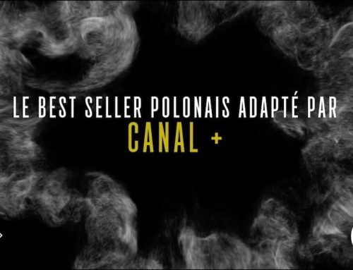 Animation LEGO City 'Top 10 Sauts et Cascades'